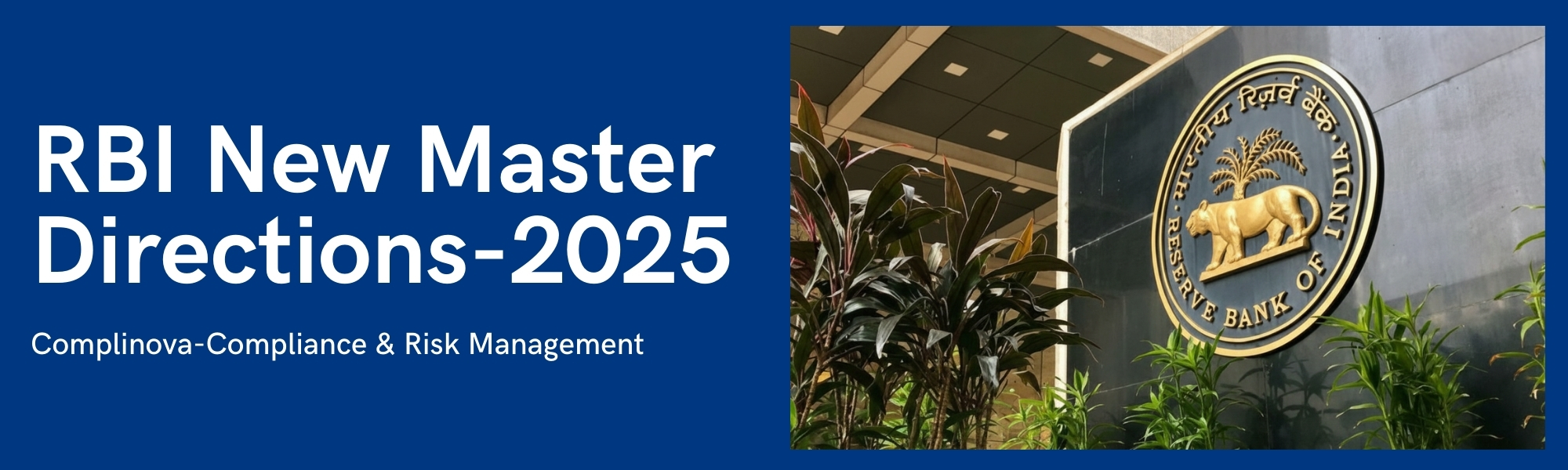 RBI’s 244 Master Directions Explained Clearly for 2025
